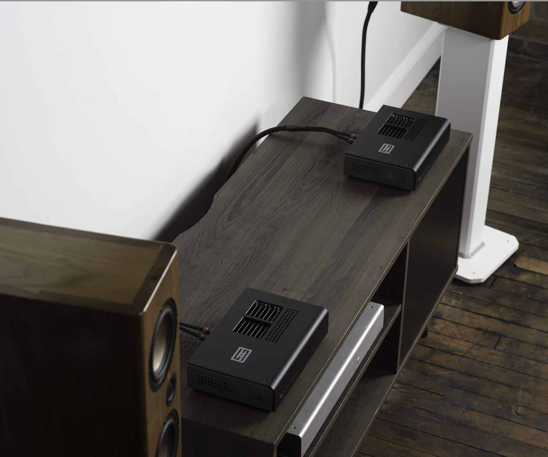 SCHIIT GJALLARHORN MONOBLOCKS - The Audiophile Man