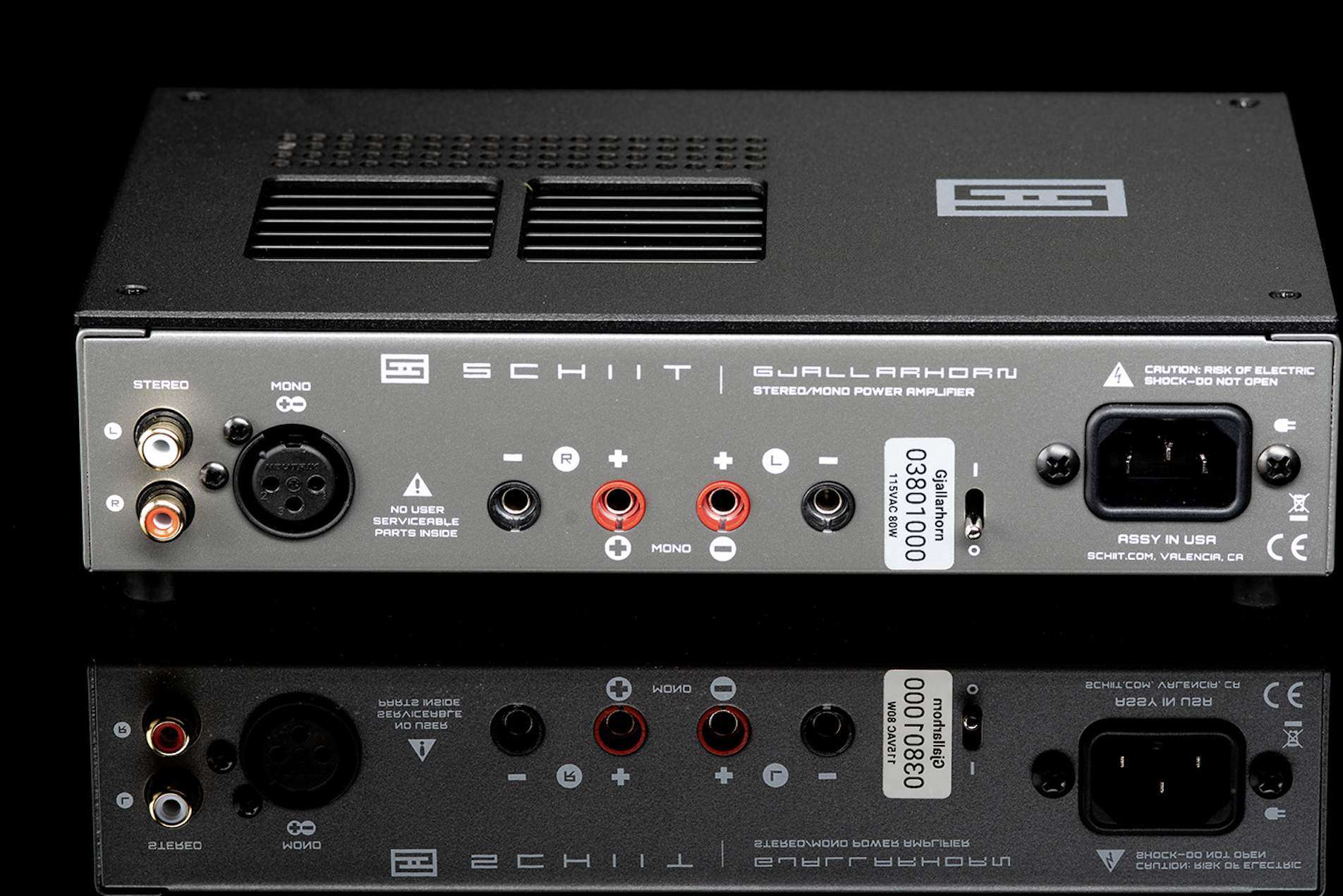 SCHIIT GJALLARHORN MONOBLOCKS - The Audiophile Man